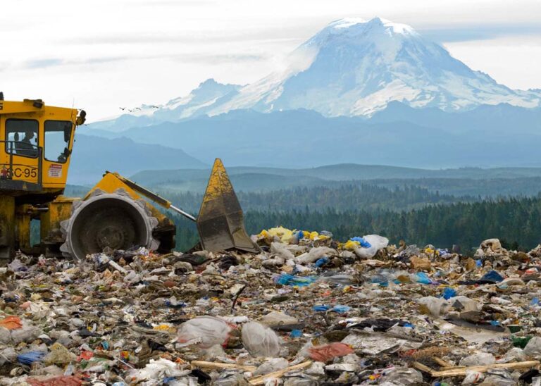 3rd Quarter (August) 2023 Enewsletter - Zero Waste Washington